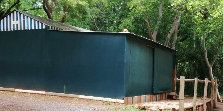 Bosvark – Westvaal Holiday Resort