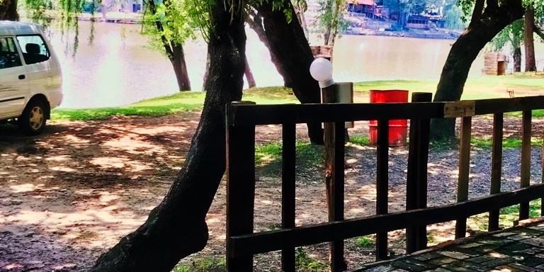 Bosvark – Westvaal Holiday Resort