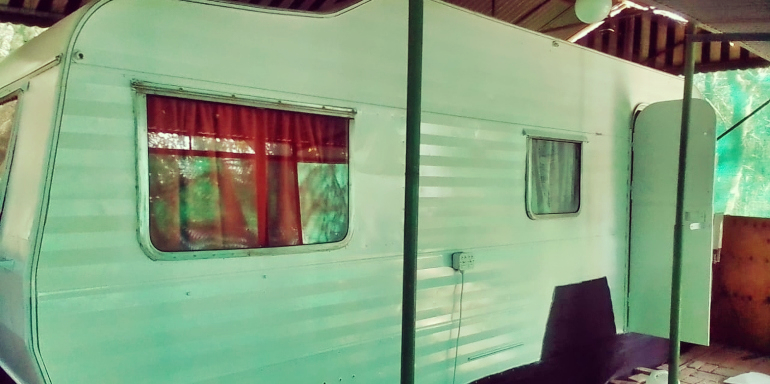 Bosvark – Westvaal Holiday Resort