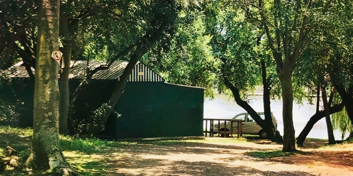 Bosvark – Westvaal Holiday Resort