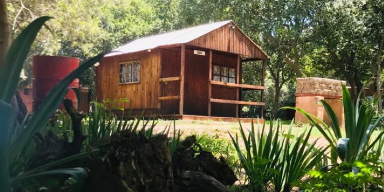 Zebra – Westvaal Holiday Resort